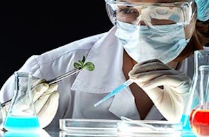 With ASVAB CEP, I explored: Environmental Scientists and Specialists ...