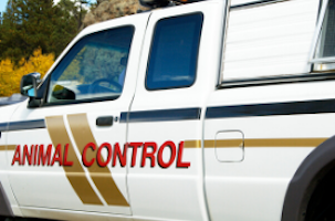 Career Path | Law, Public Safety, Corrections & Security | ASVAB CEP