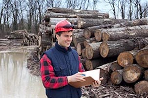 With ASVAB CEP, I explored: Log Graders and Scalers